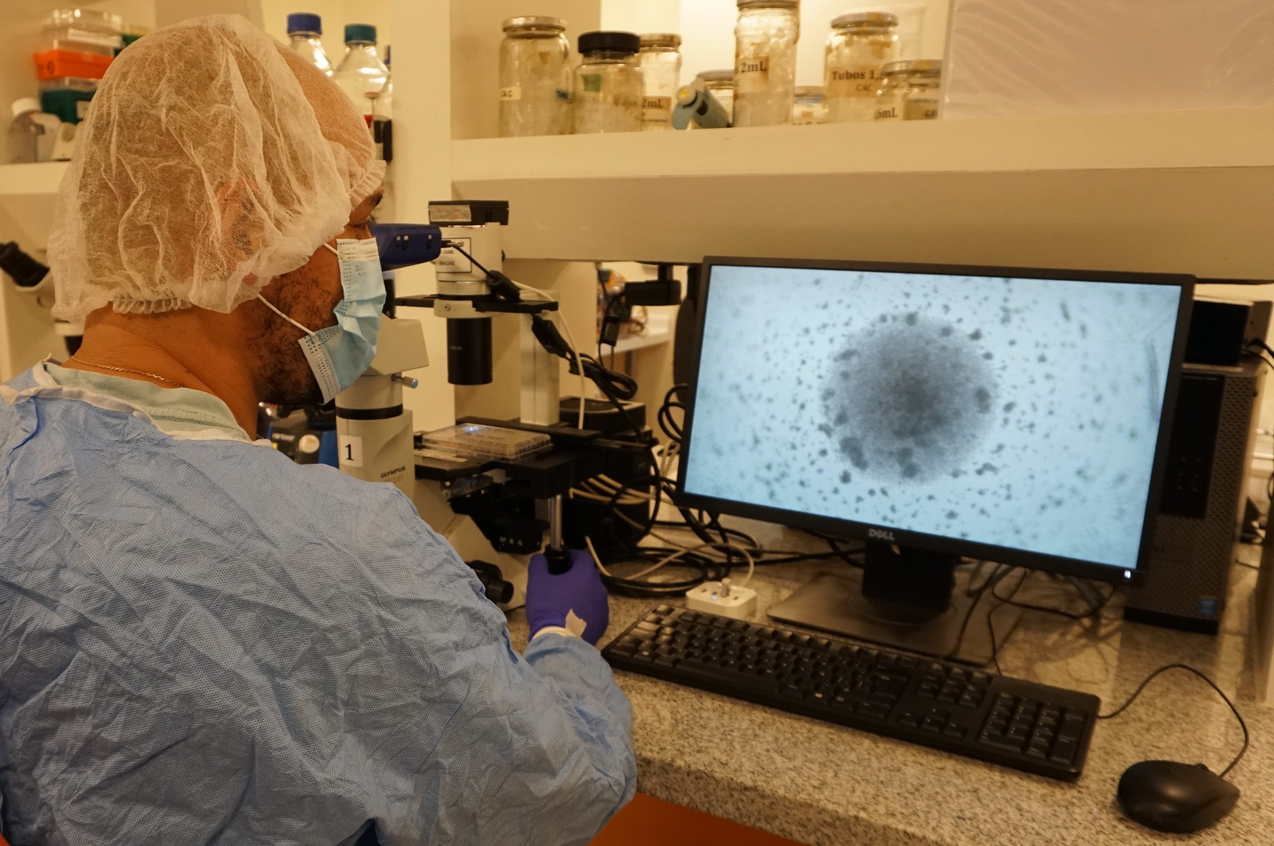 Noticias – Centro Impact