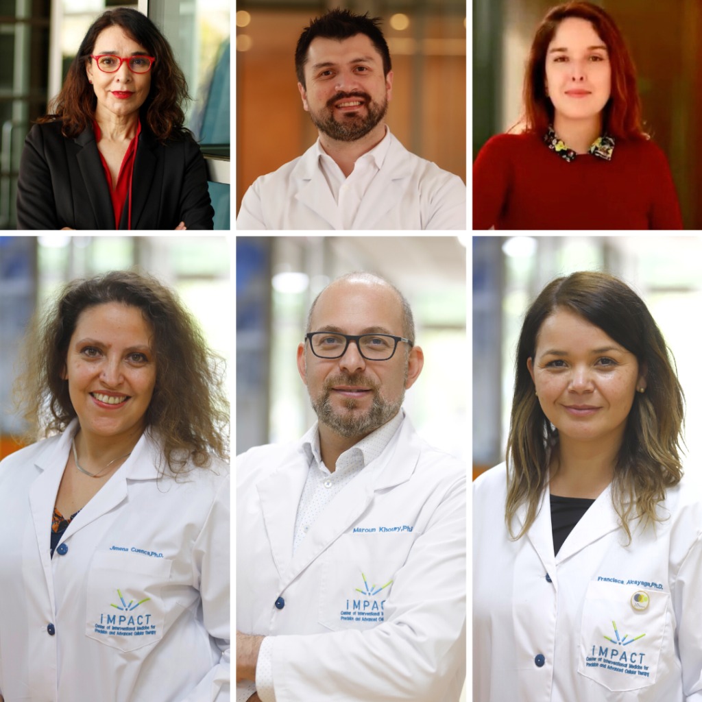 Noticias – Centro Impact